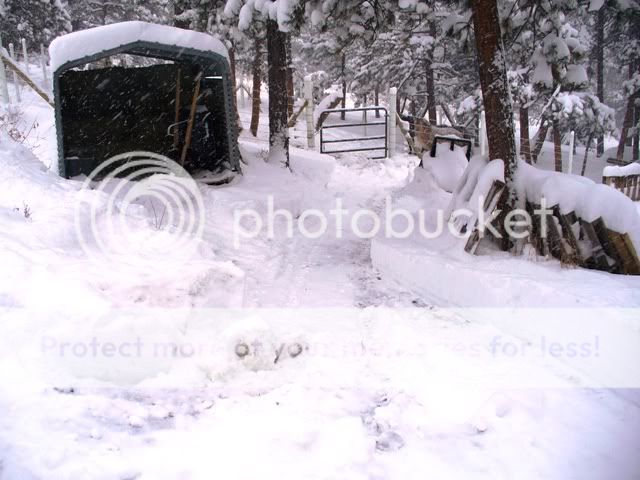 Last Pictures of the season - MX-5 Miata Forum