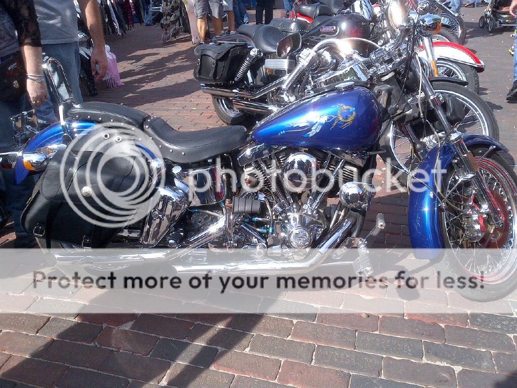 Jonesboro River Rally fun - The HERD