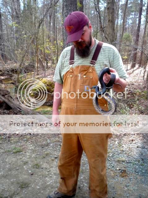 Lazy Herper Post - Field Herp Forum